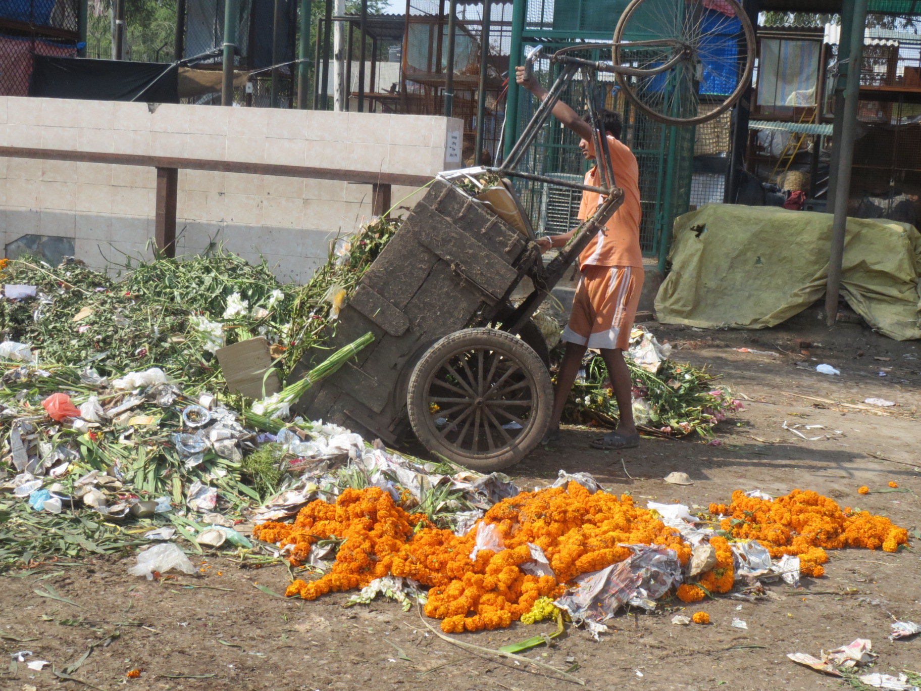 GOLD GARBAGE – Everything Is Designed